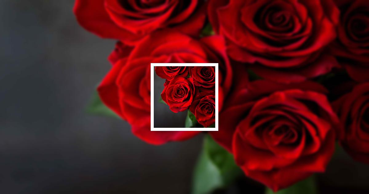 MaryAnn Smith - DakotaObits.com